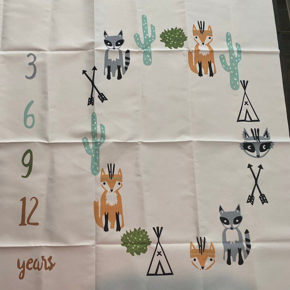 Other | Monthly Milestone Blanket Photography Background | Poshmark